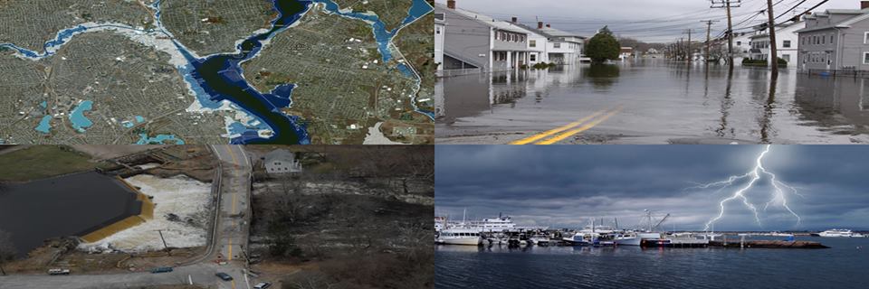 RIEMA - What's Up Newp