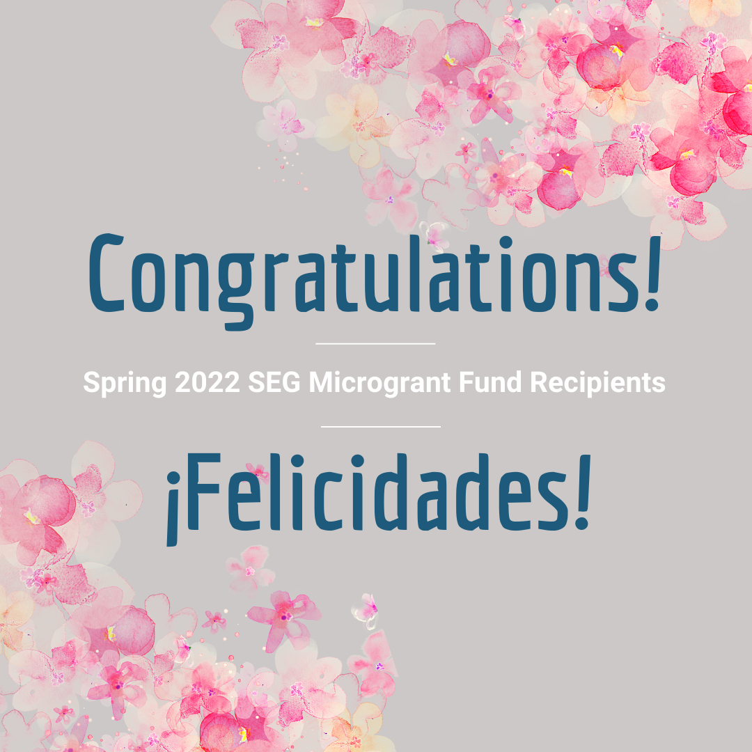SEG awards first round of microgrants to elevate impact businesses in ...