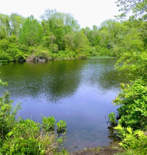 RIDOH and DEM recommend avoiding contact with Upper Melville Pond and ...