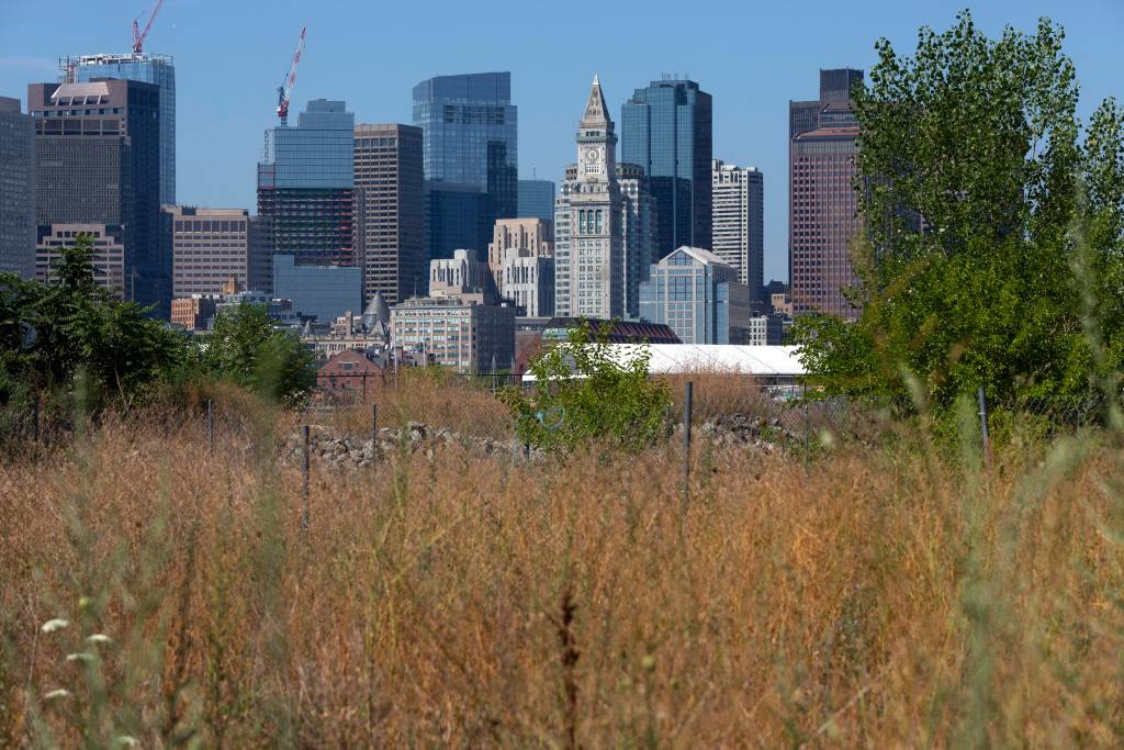 Drought disaster declared in Rhode Island; Worcester restricts outdoor ...