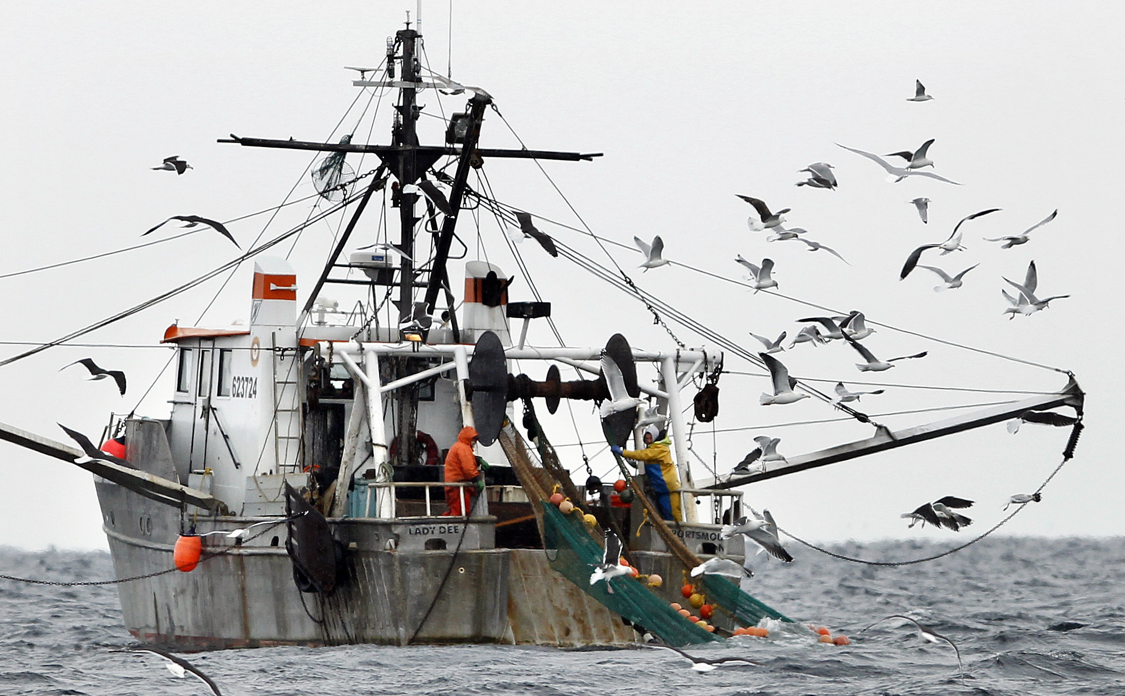 Feds try to improve fishing data with new monitoring rules - What's Up Newp