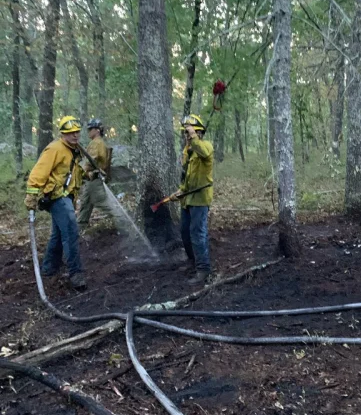 DEM offering Wildland Firefighter Training Program - What's Up Newp