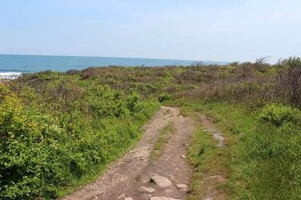 Black Point to get improved hiking trails thanks to DEM and TNC Project ...