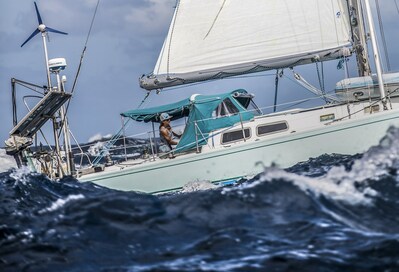 11th Hour Racing names Captain Liz Clark as an ambassador - What's Up Newp