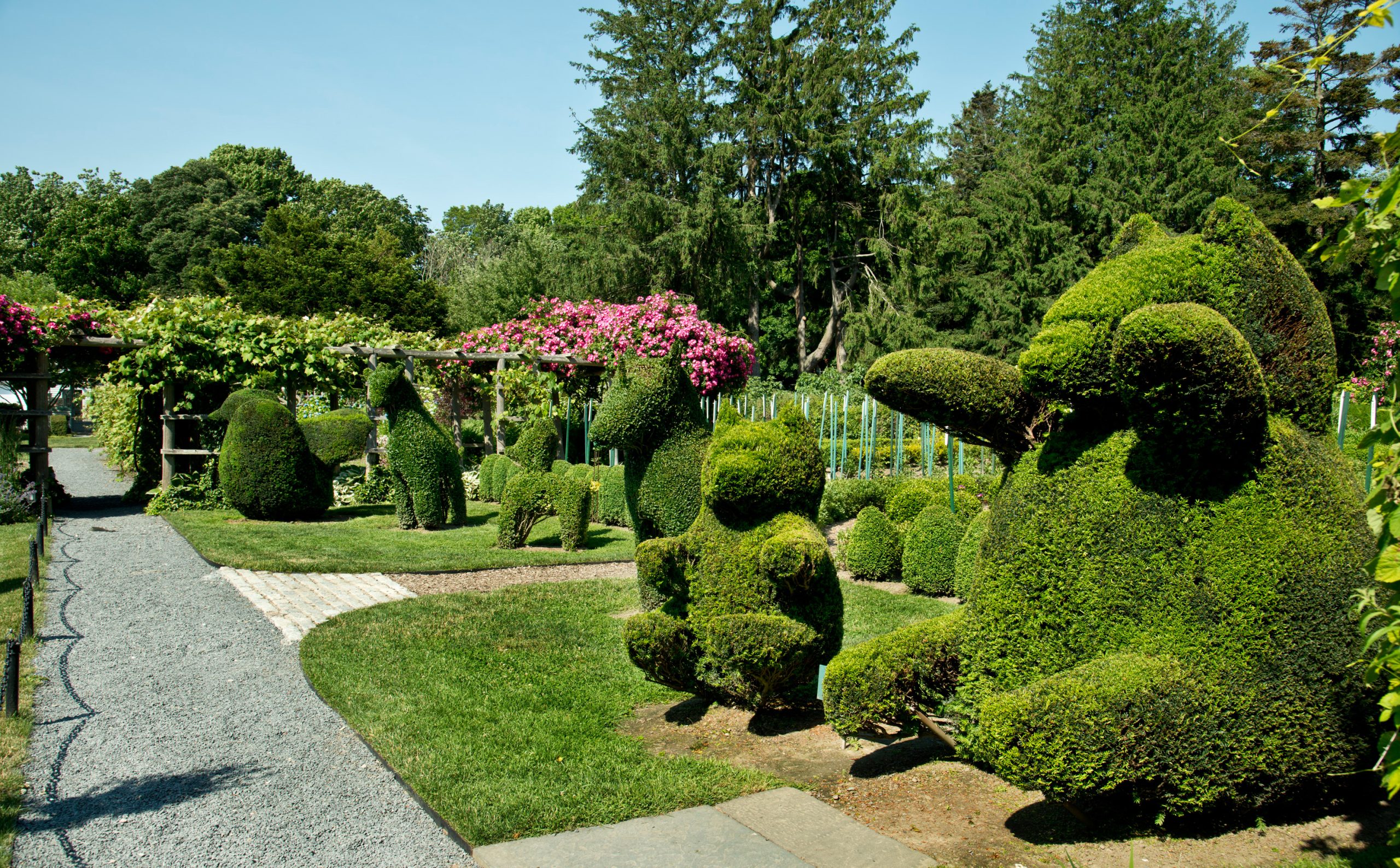The Elms and Green Animals Topiary Garden will open for the season in ...