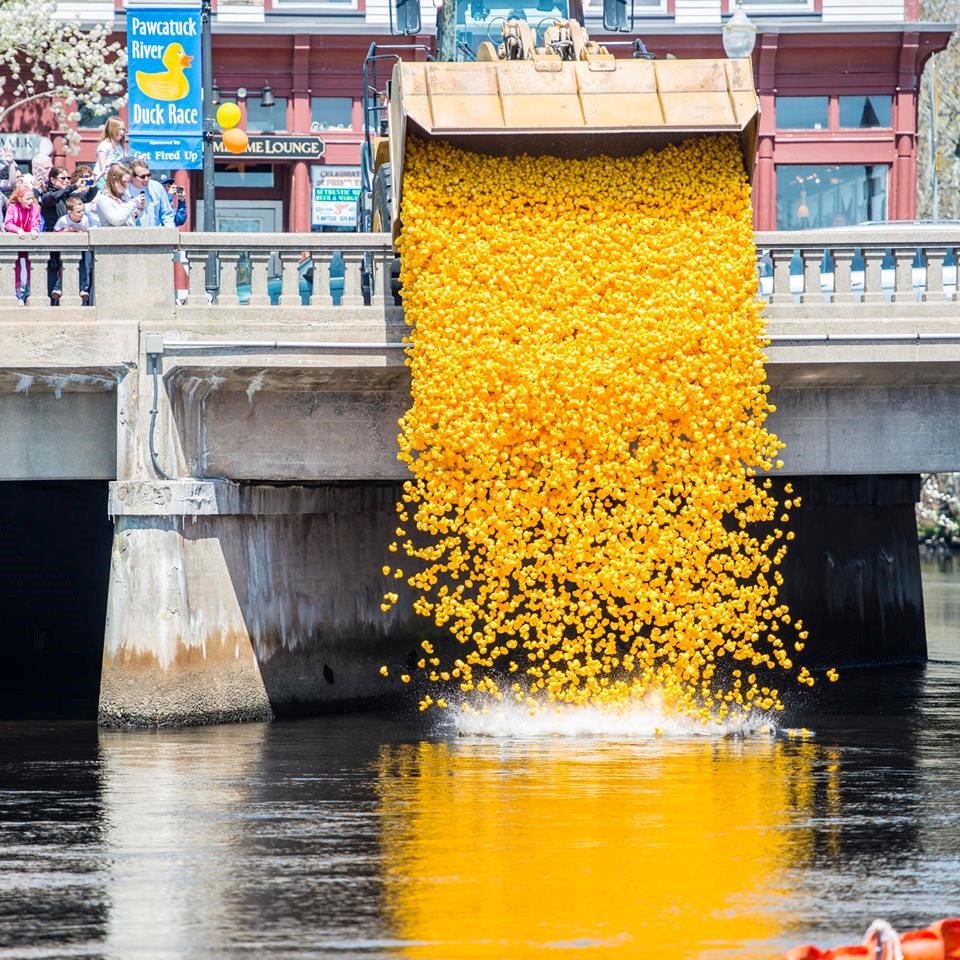 Annual Pawcatuck River Duck Race returns on April 29 - What's Up Newp