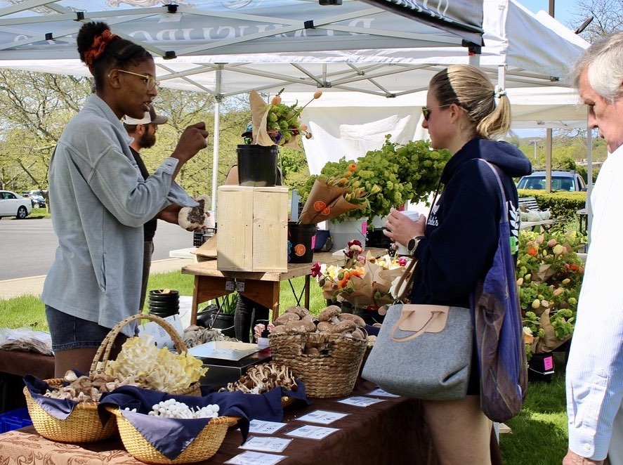Wednesday farmers market opens on Memorial Boulevard for the season on ...