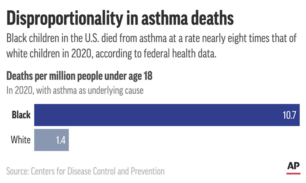 Embed-Chart-Birth-to-Death-Asthma-Deaths - What's Up Newp