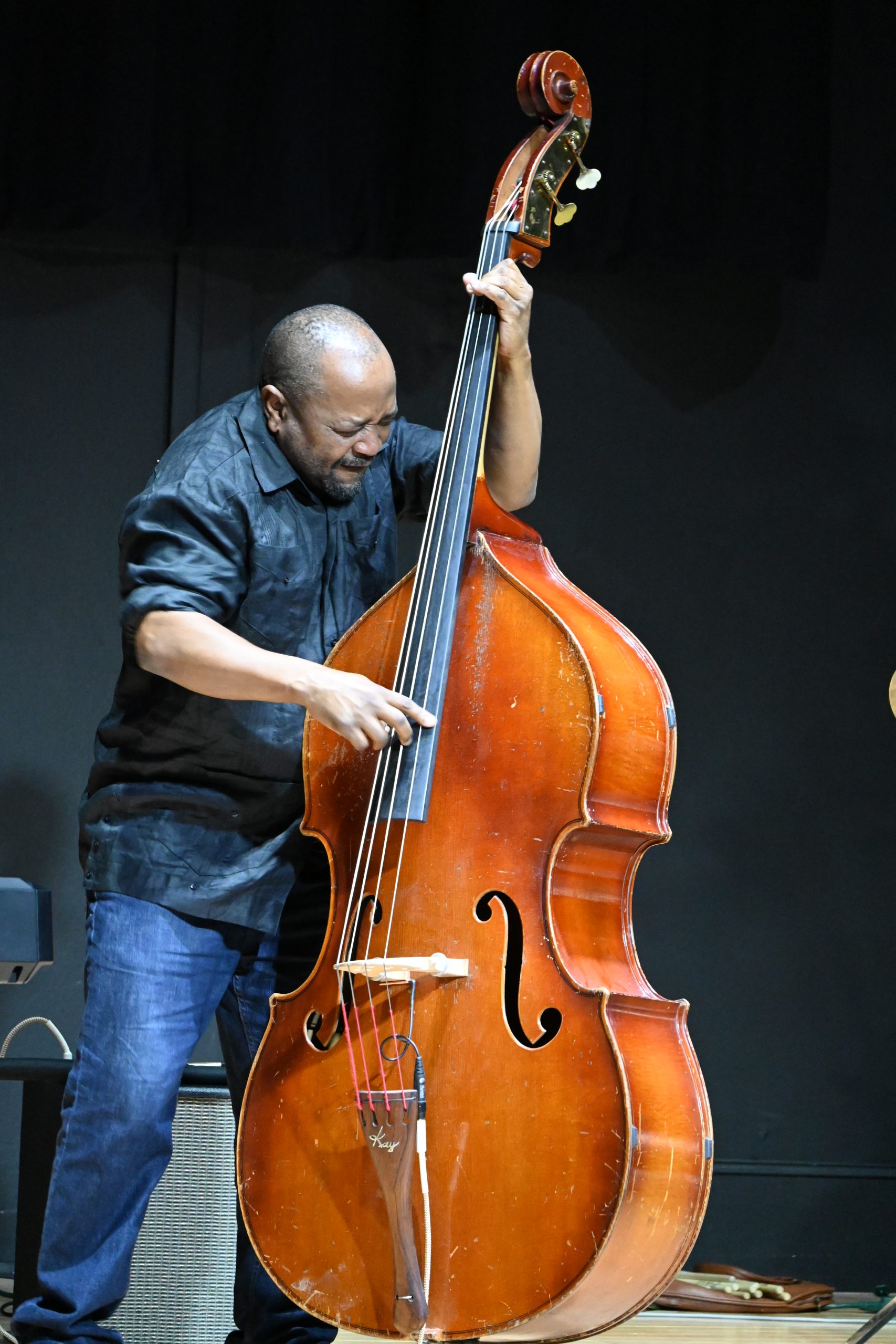 Steve-and-Bokani-Dyer-Quartet-7 - What's Up Newp