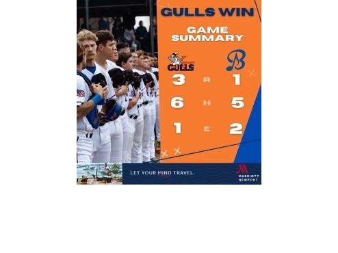 Hometown kid earns win in Newport Gulls home opener at Cardines Field ...