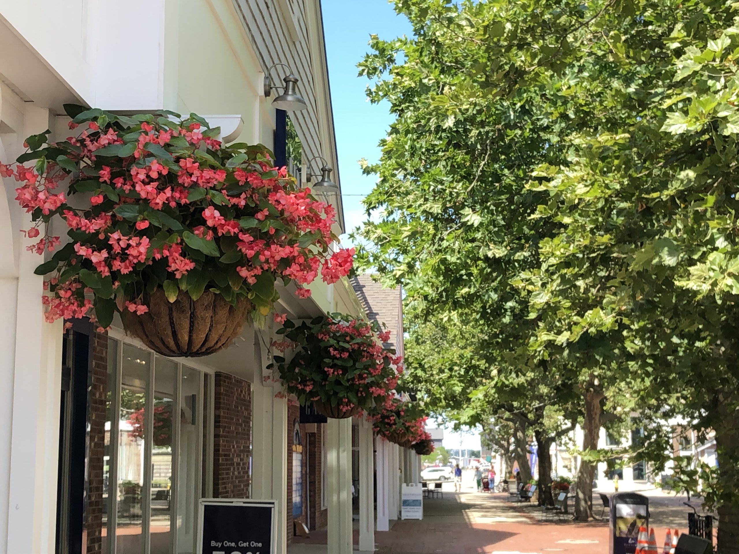 NIB-hanging-baskets - What's Up Newp