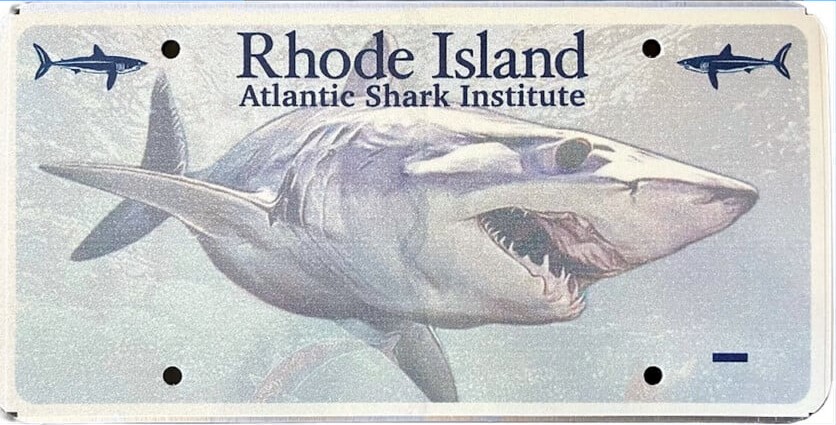 An awesome license plate, & Ocean State-worthy research - What's Up Newp