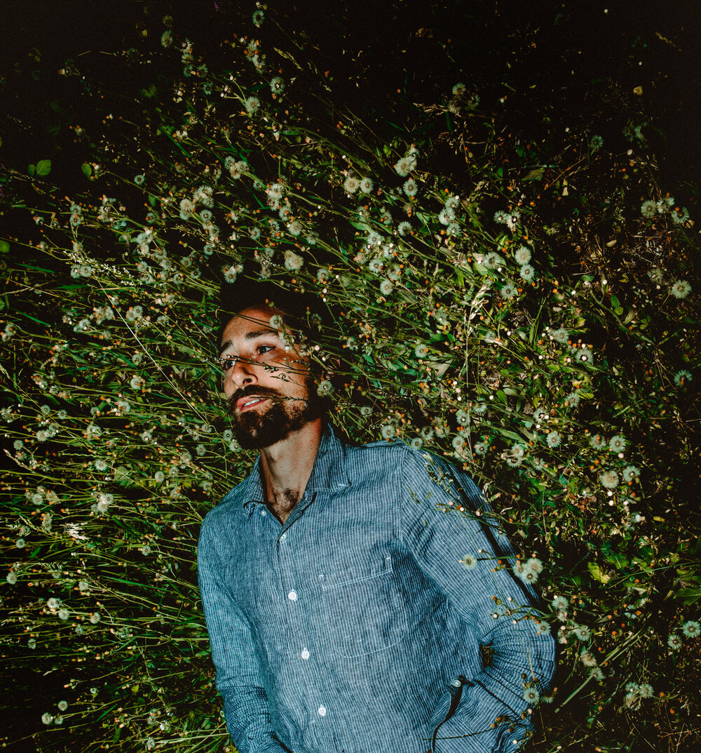 Newport Live and Norman Bird Sanctuary present The Suitcase Junket July ...