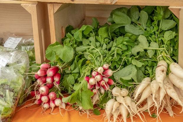 $400,000 in grants awarded to help Rhode Island farmers expand market ...