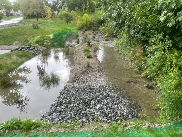 Pell-rain-garden-absorbing-water-after-a-storm - What's Up Newp
