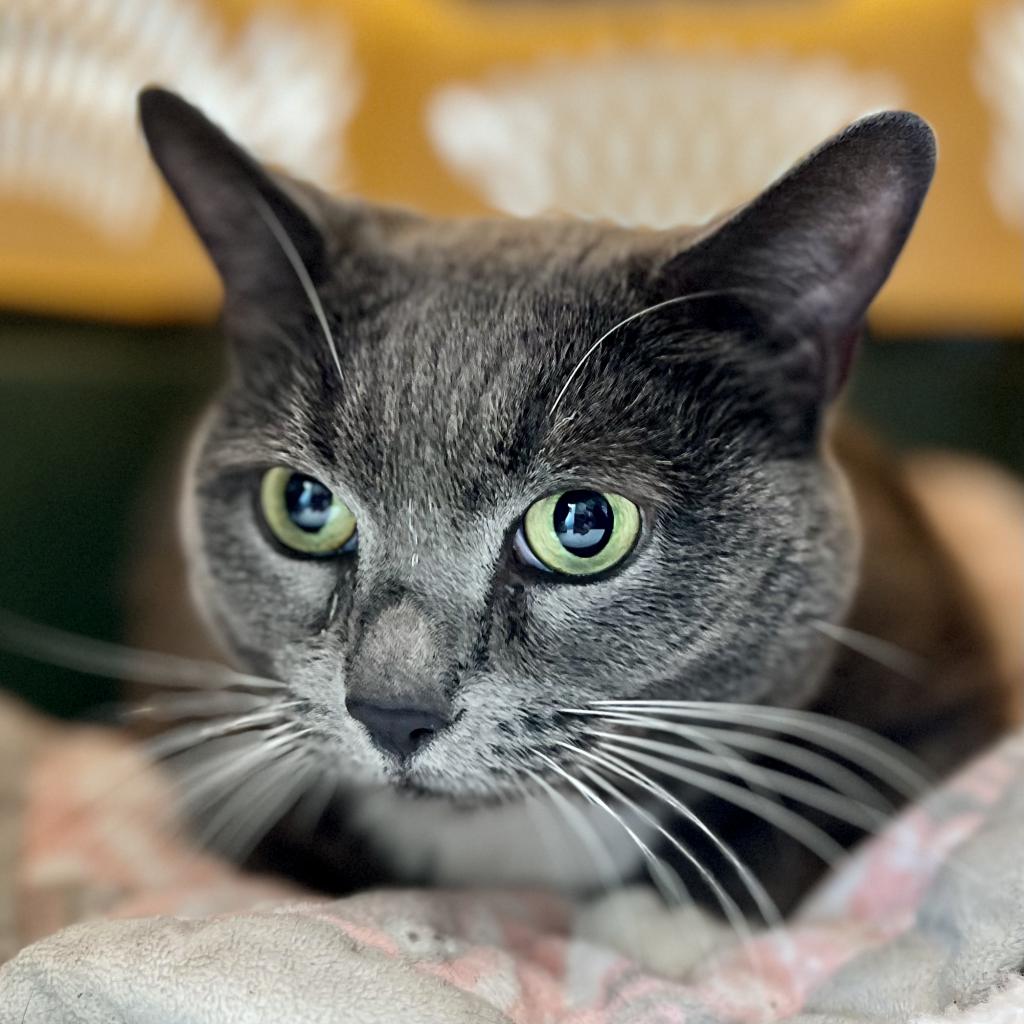 Louise is searching for a loving home - What's Up Newp