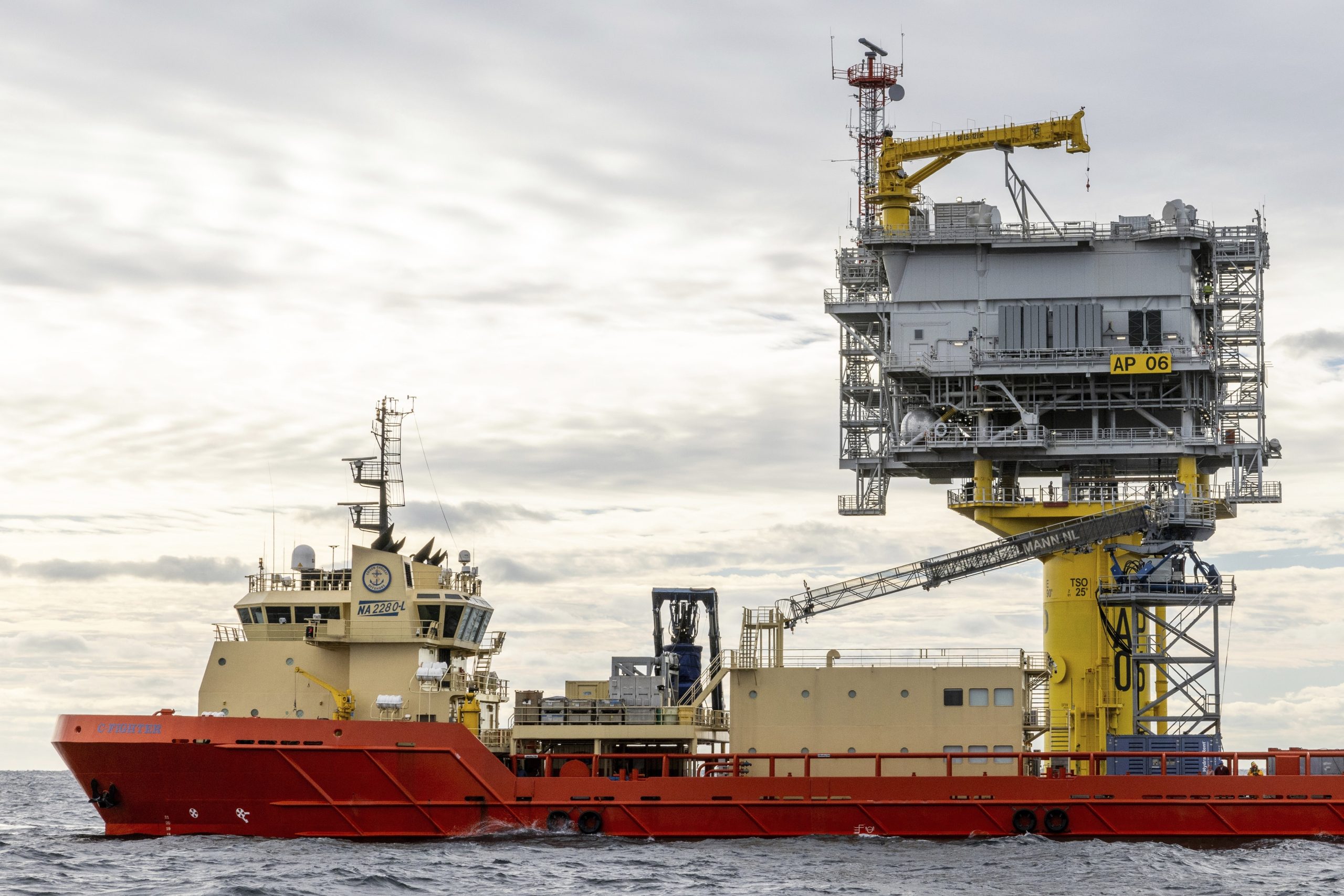 Offshore Wind Whales Explainer - What's Up Newp