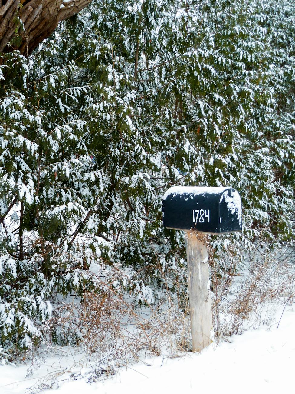 Winter Weather: USPS asks for snow removal to keep carriers safe - What ...
