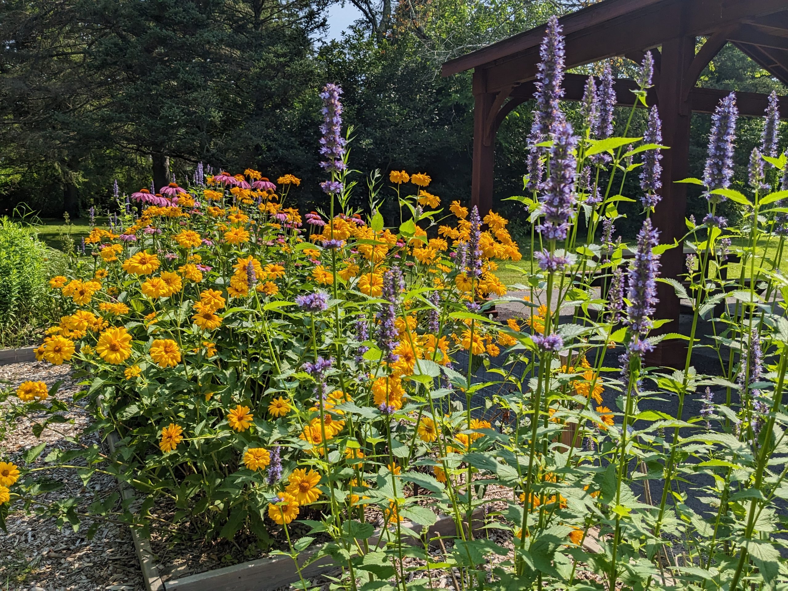 PG_Summer - What's Up Newp