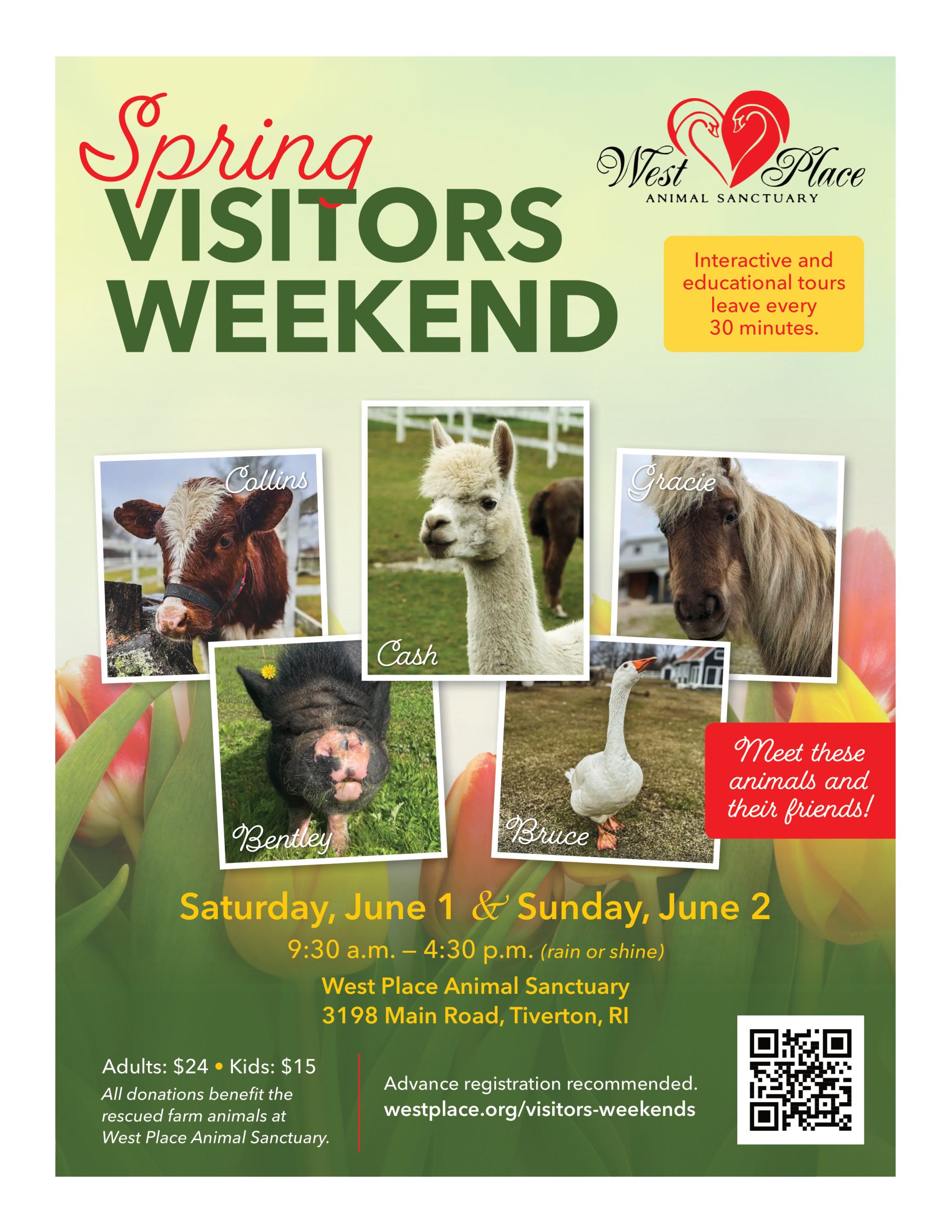 spring2024_visitors_wknd_flyer - What's Up Newp