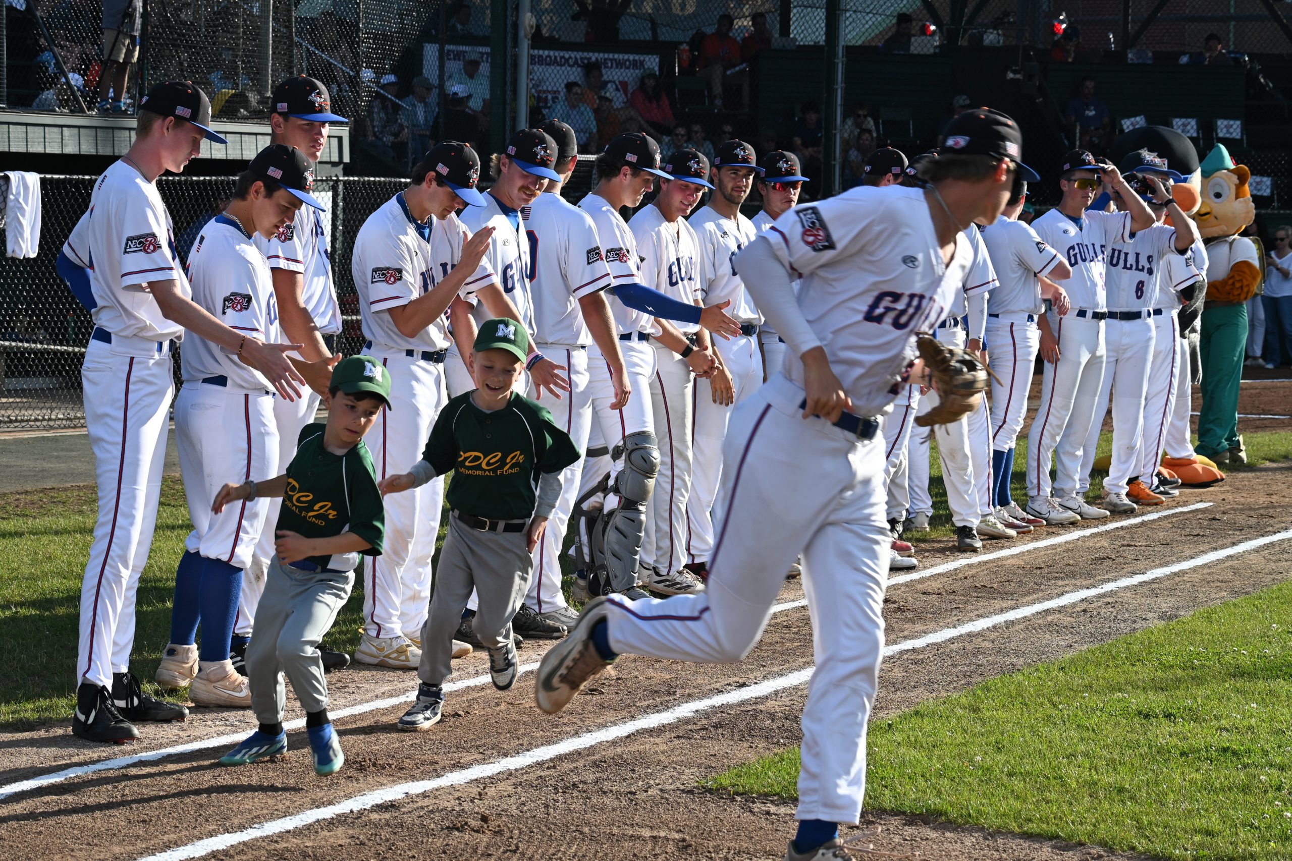 A Night at the Ballgame – Summer tradition alive and well at Cardines ...