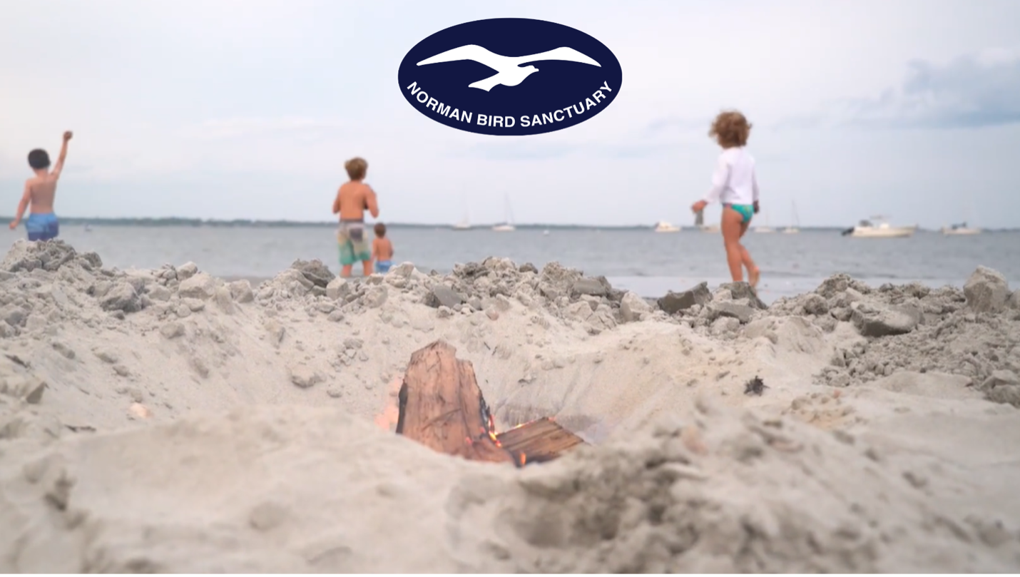 Norman Bird Sanctuary’s Beach Bash returns with a nod to classic New England summers - What's Up ...