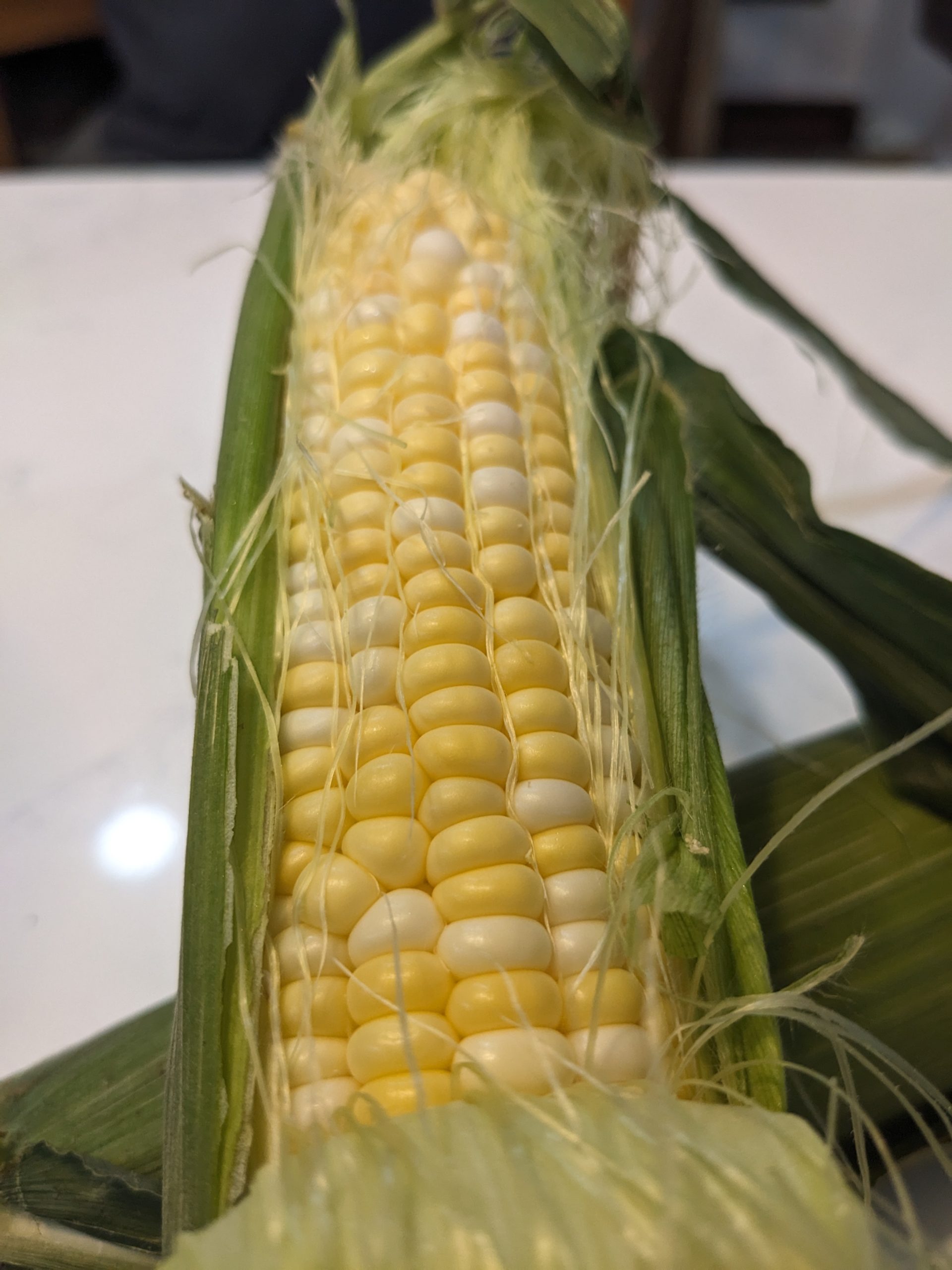 PXL_20240803_233958076 - What's Up Newp