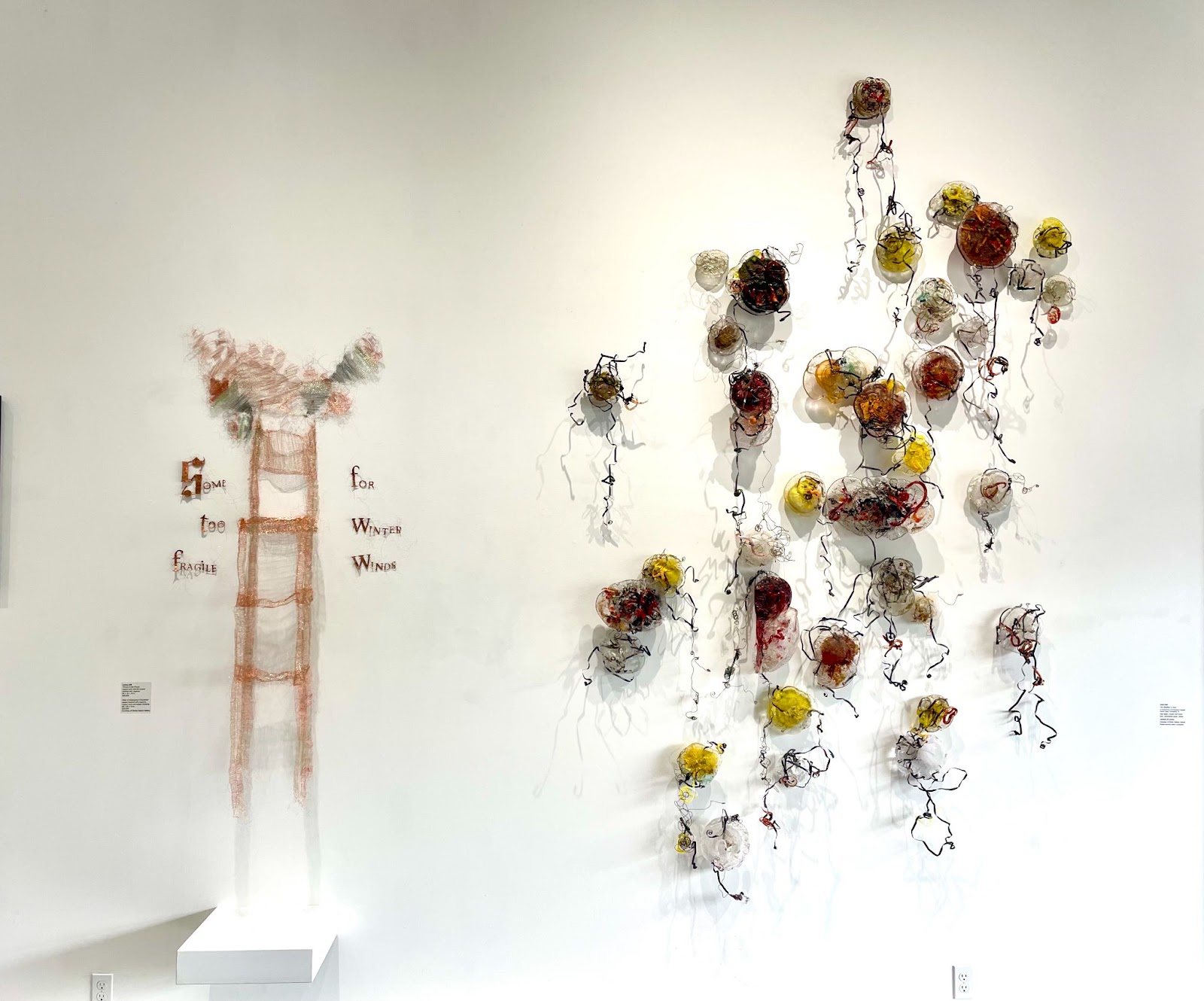 Artists explore new frontiers in PIVOT Exhibition at Jamestown Arts ...