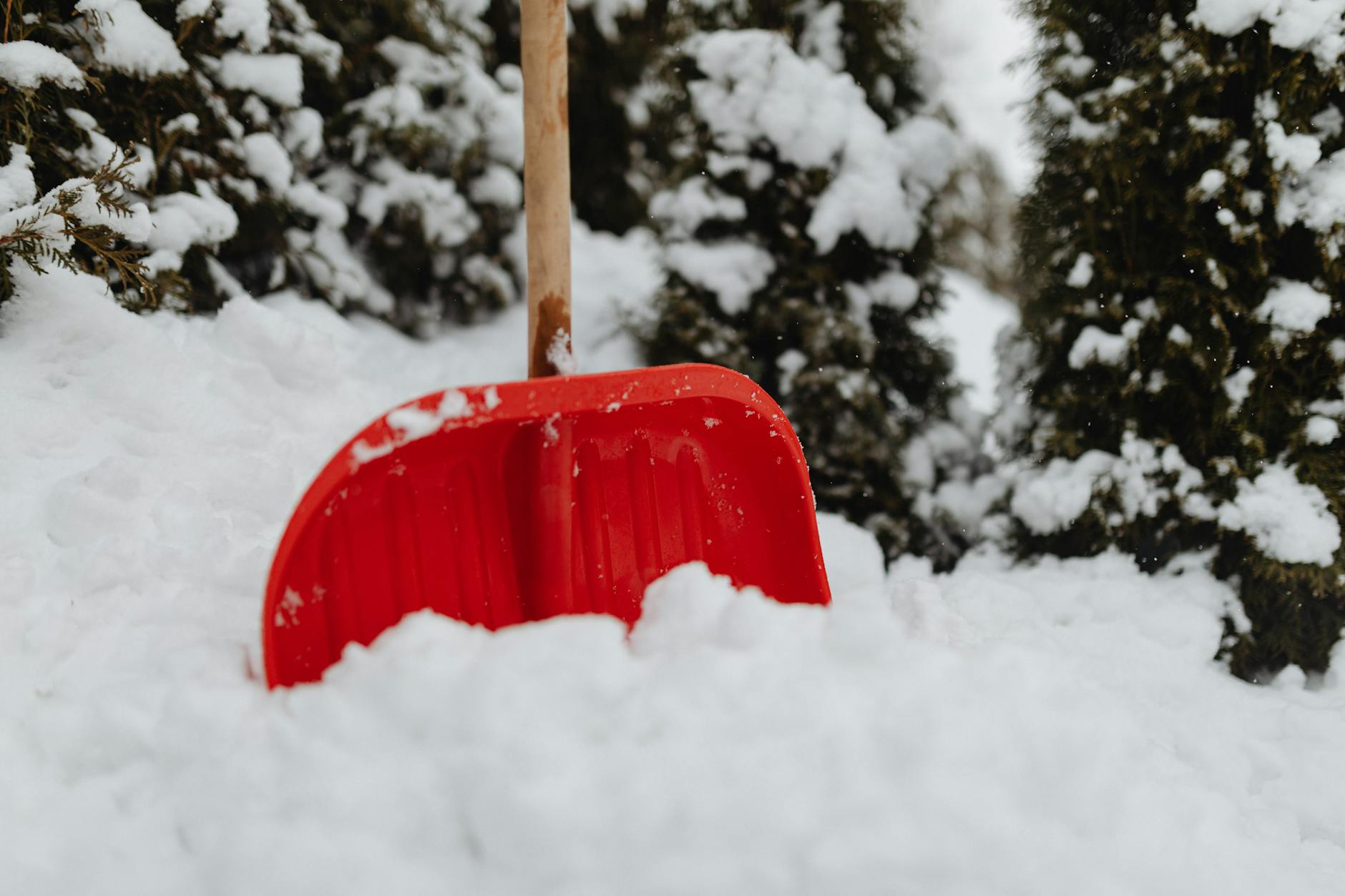 National Weather Service: Heavy snow possible this weekend - What's Up Newp