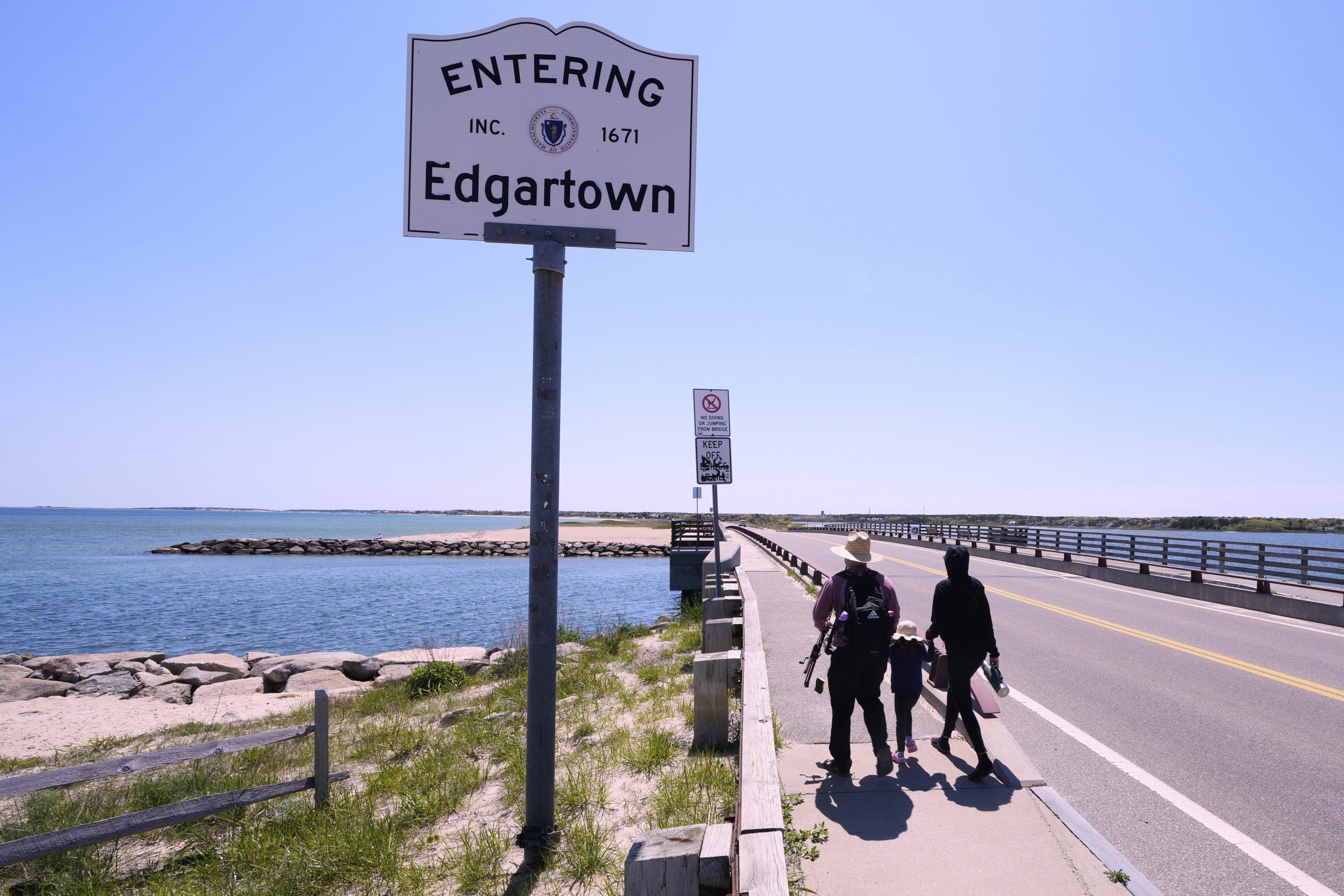 Jaws Anniversary Shark Swim - What's Up Newp