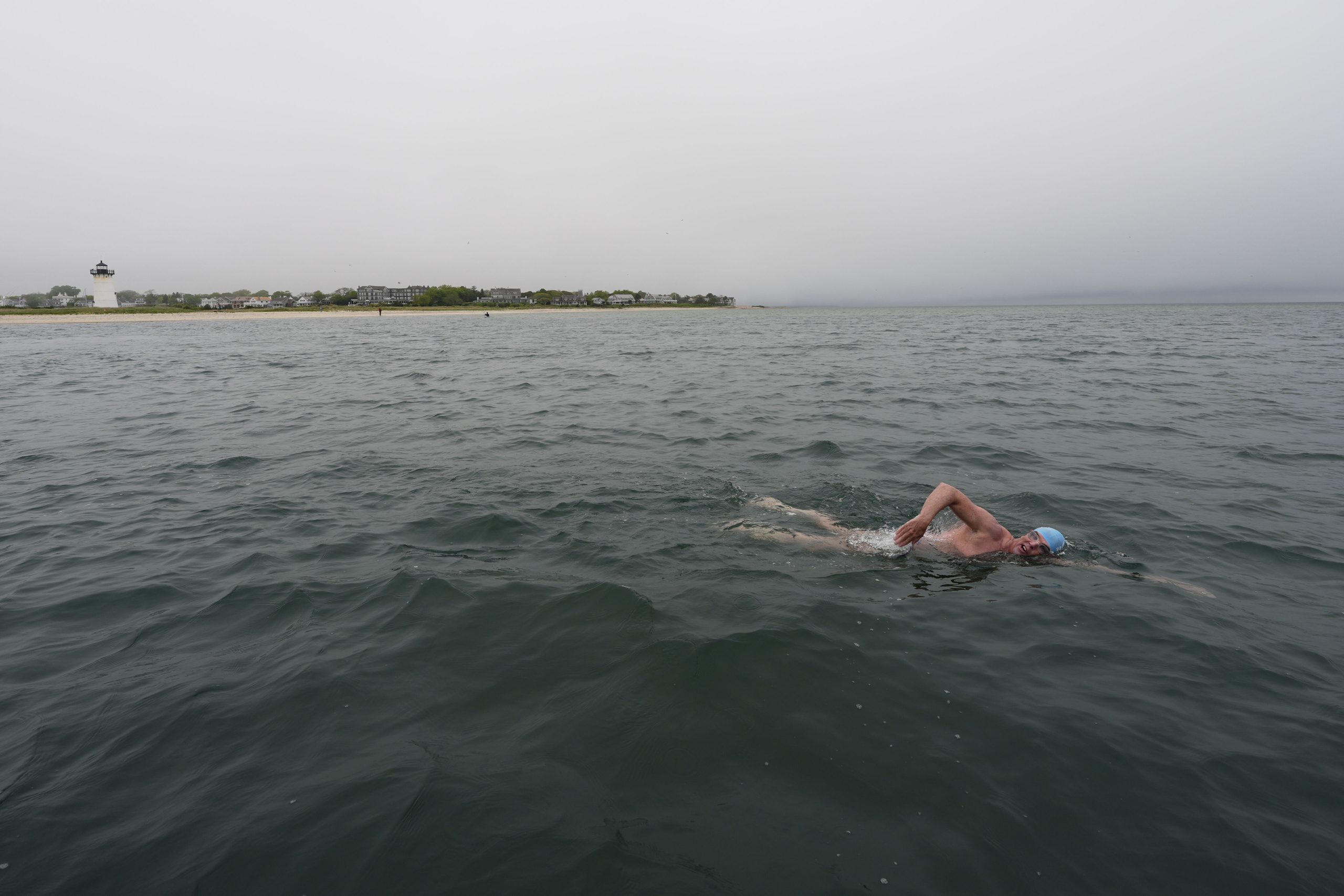 Jaws Anniversary Shark Swim - What's Up Newp