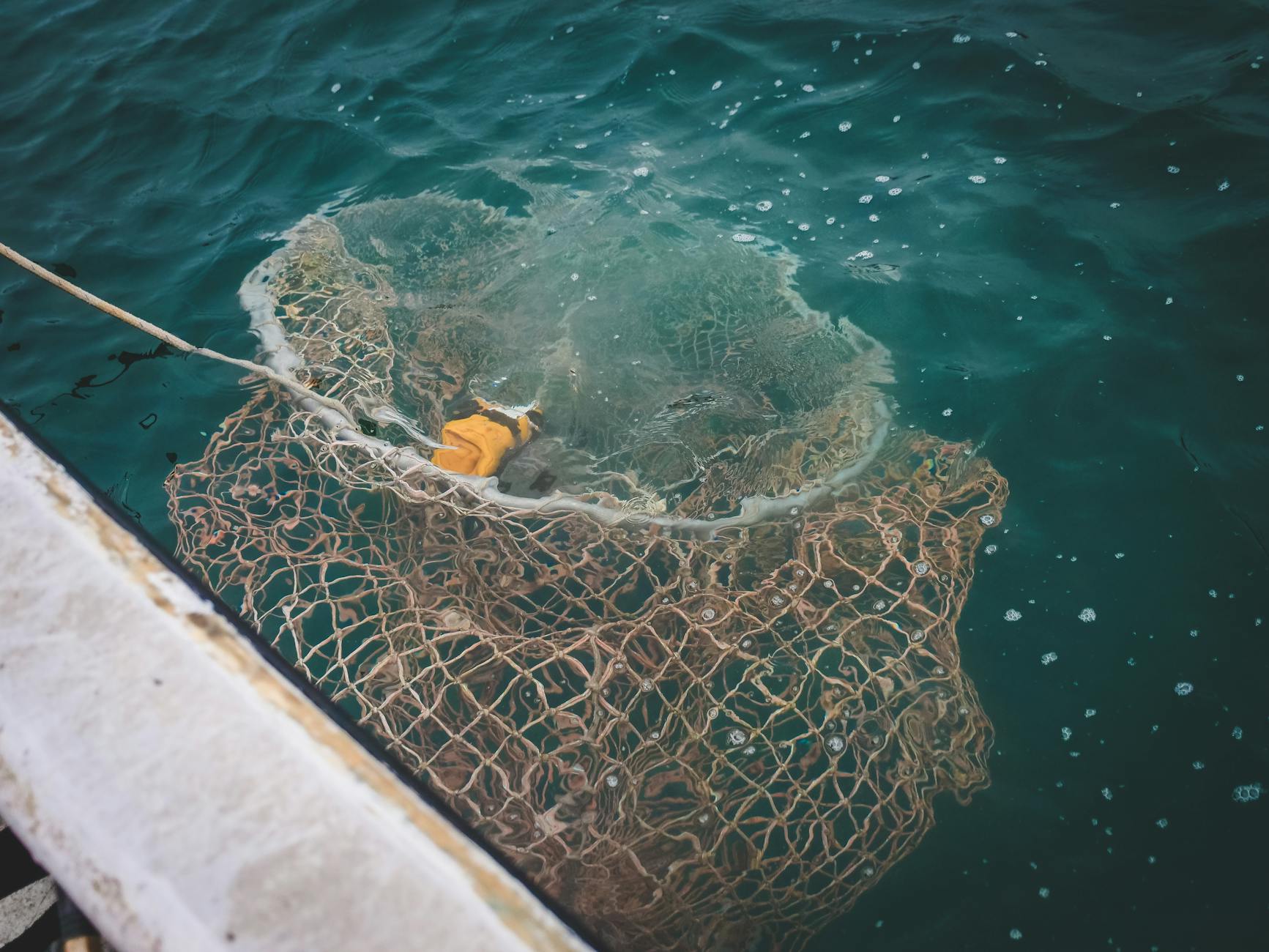 Fishermen battling with changing oceans chart new course after Trump's ...